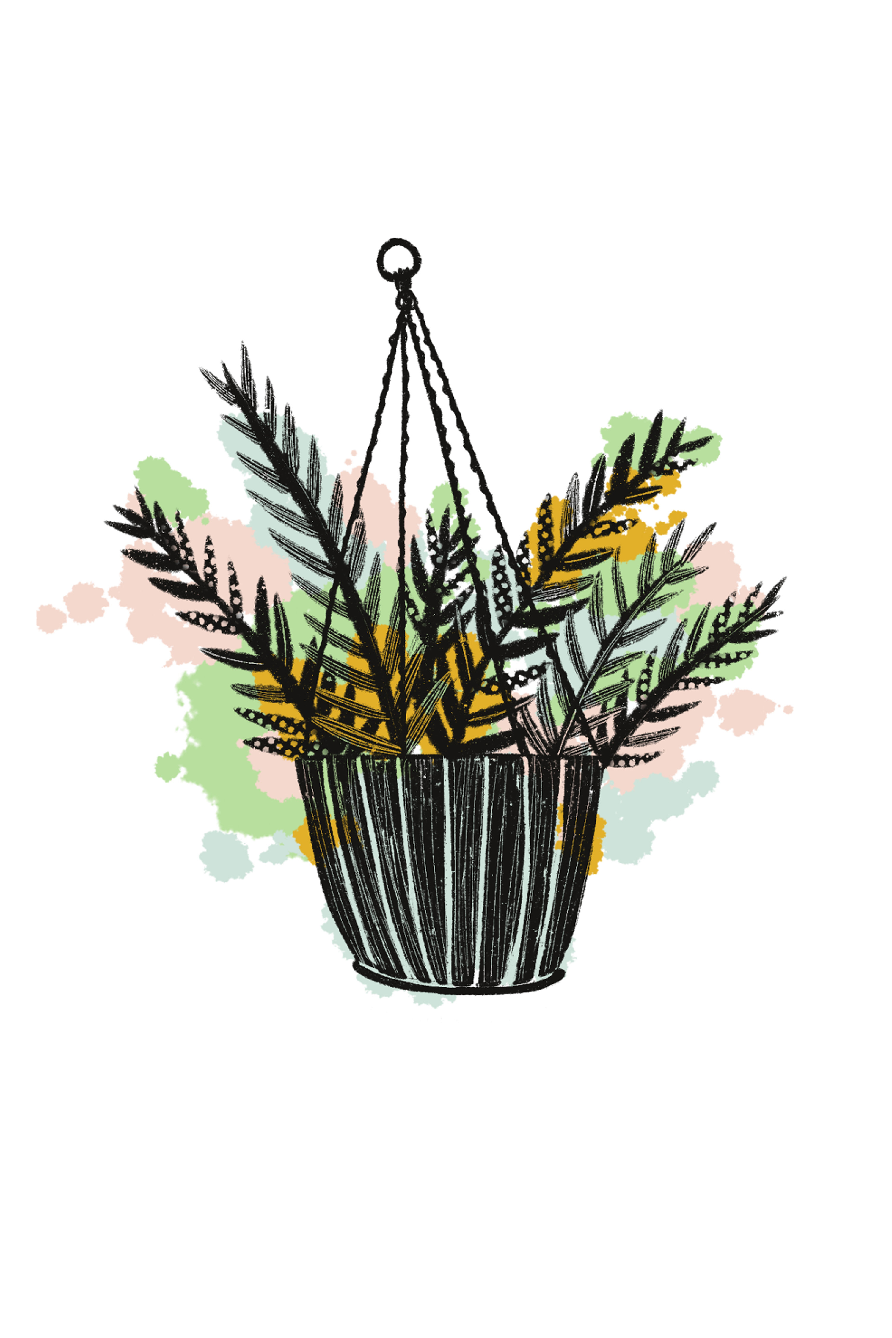 Bay Isle Home™ Ashier Plant Pop II On Canvas by Rebekah Ewer Print | Wayfair